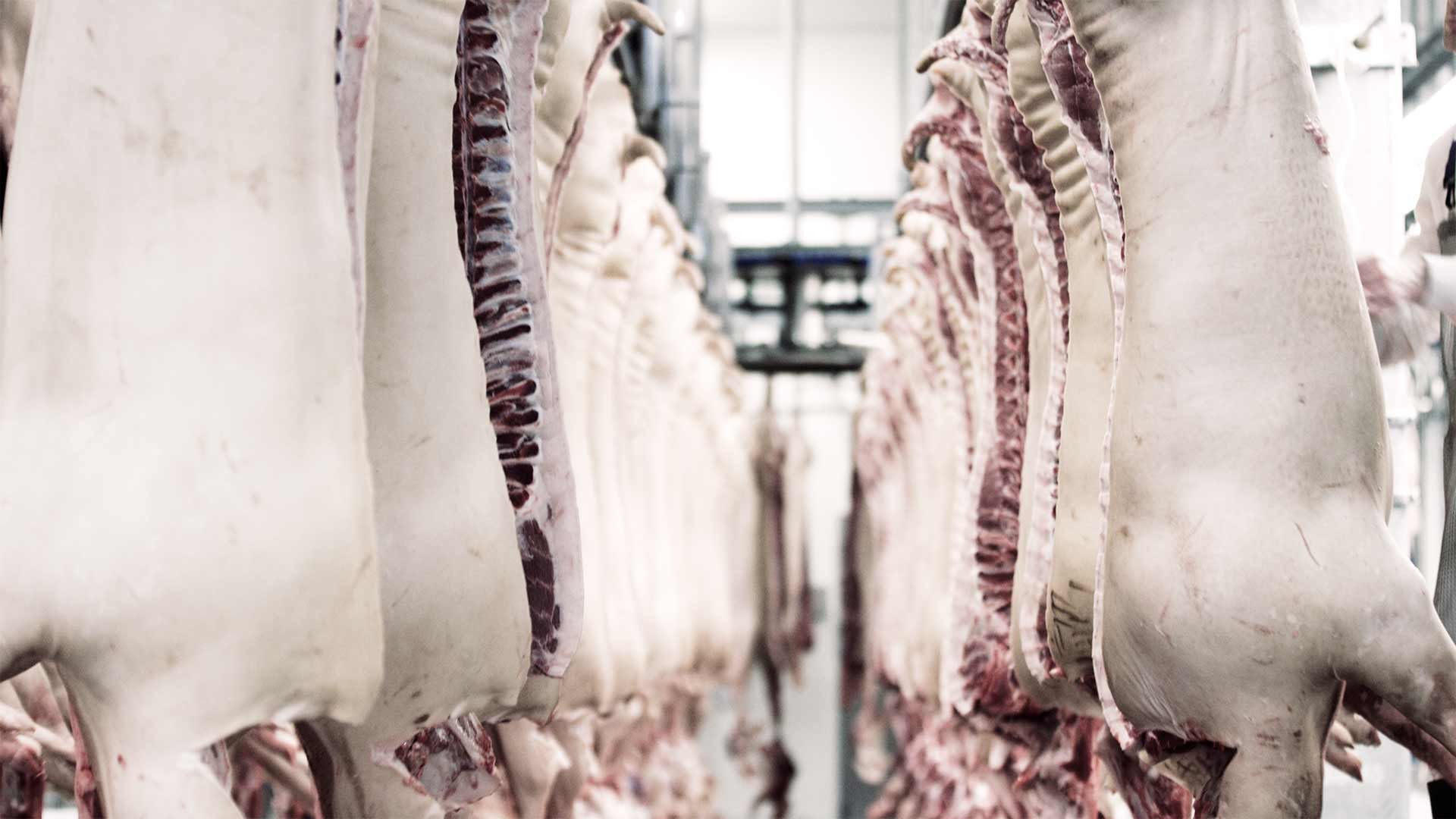 Business Areas | Nowaco