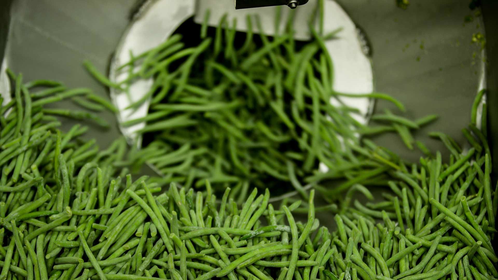 Business Areas | Nowaco