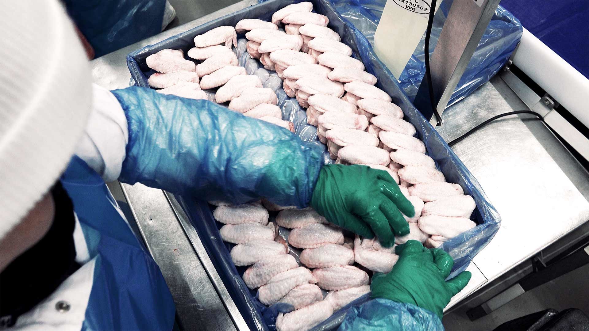 Business Areas | Nowaco