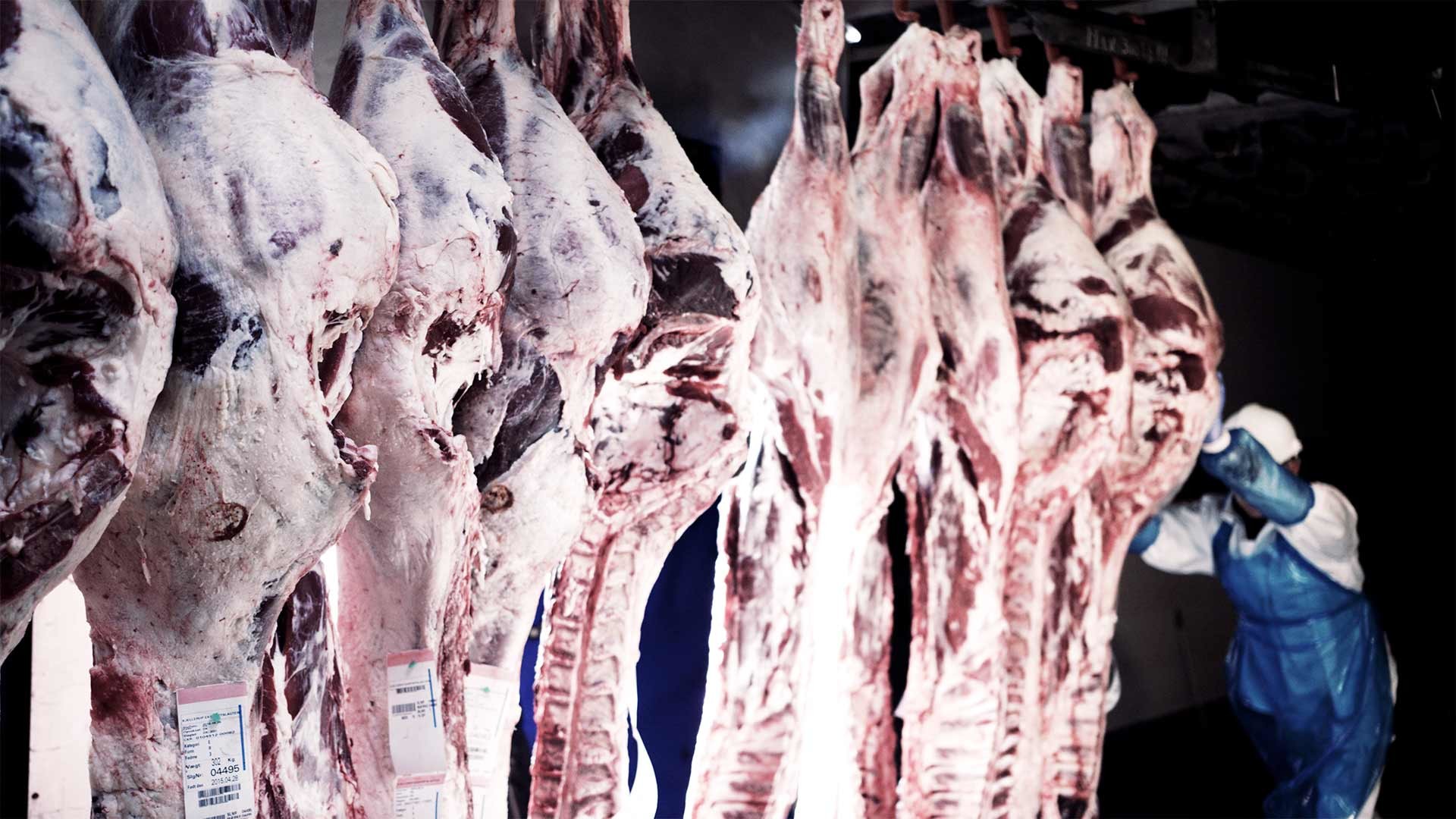 Business Areas | Nowaco